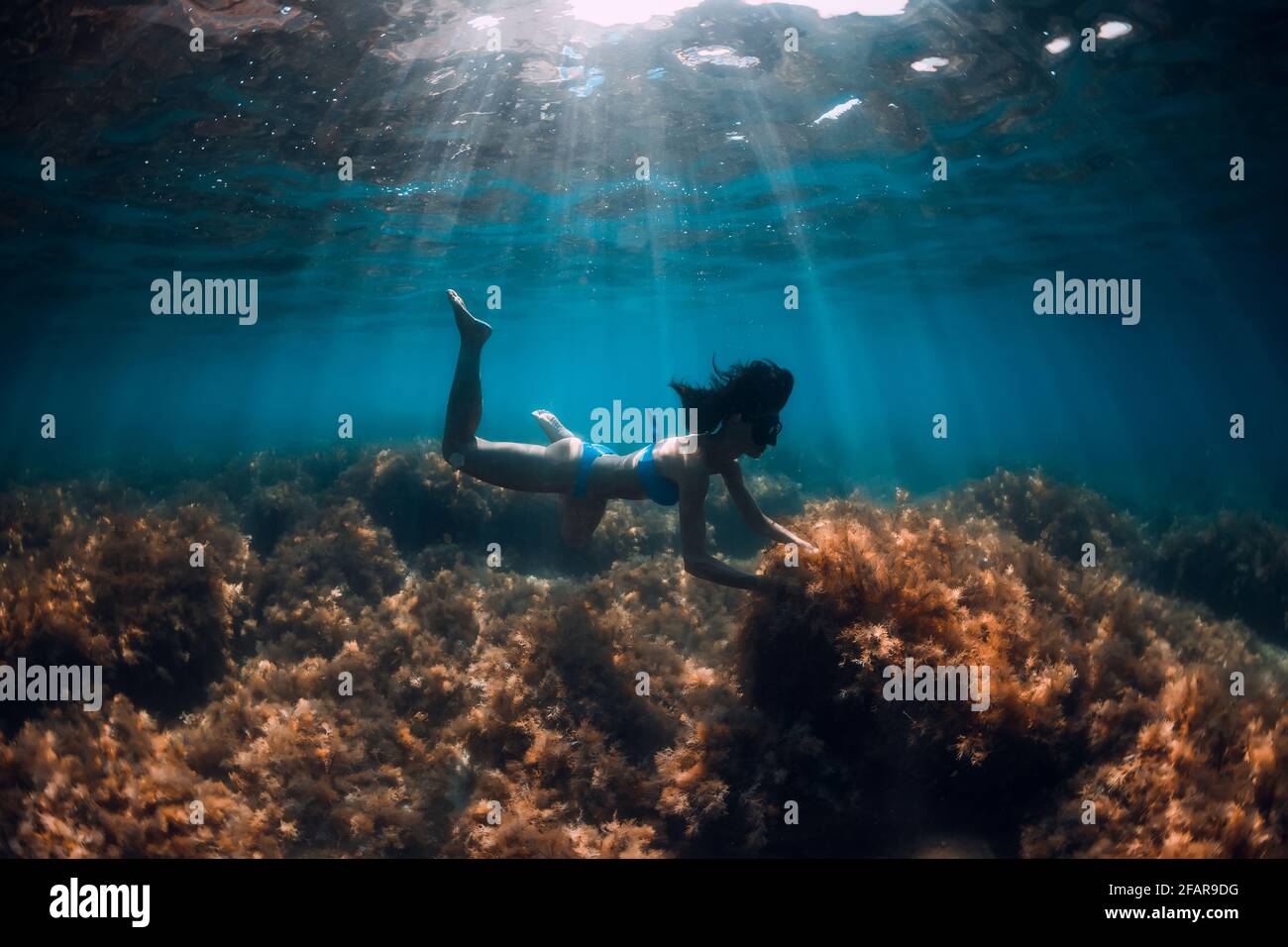 Woman free diver posing underwater in transparent ocean with sun rays ...
