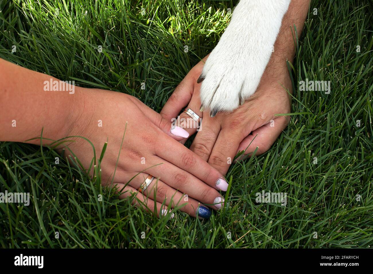 Close up of married couple holding hands with engagement rings on and ...