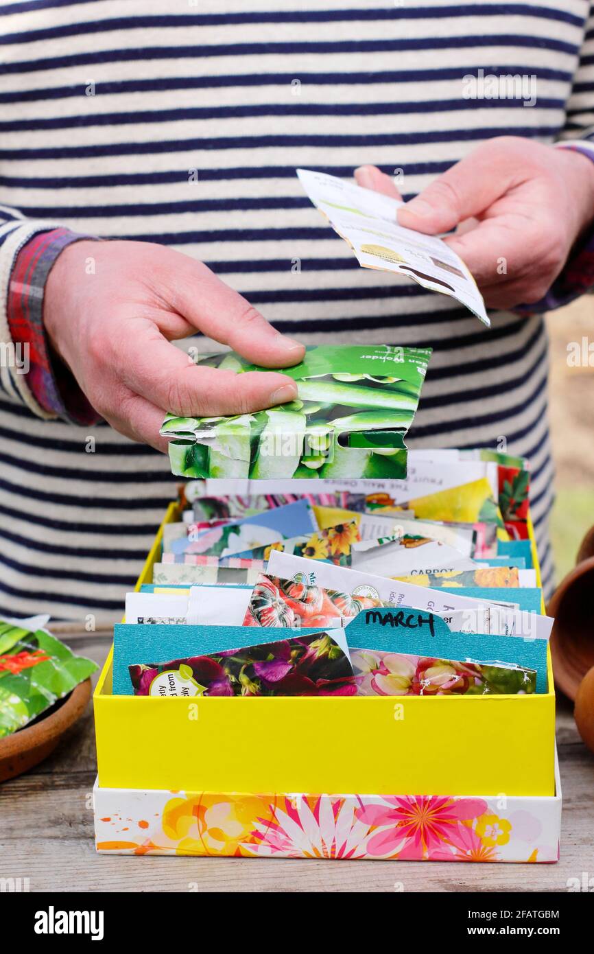 Checking seed packets hi-res stock photography and images - Alamy