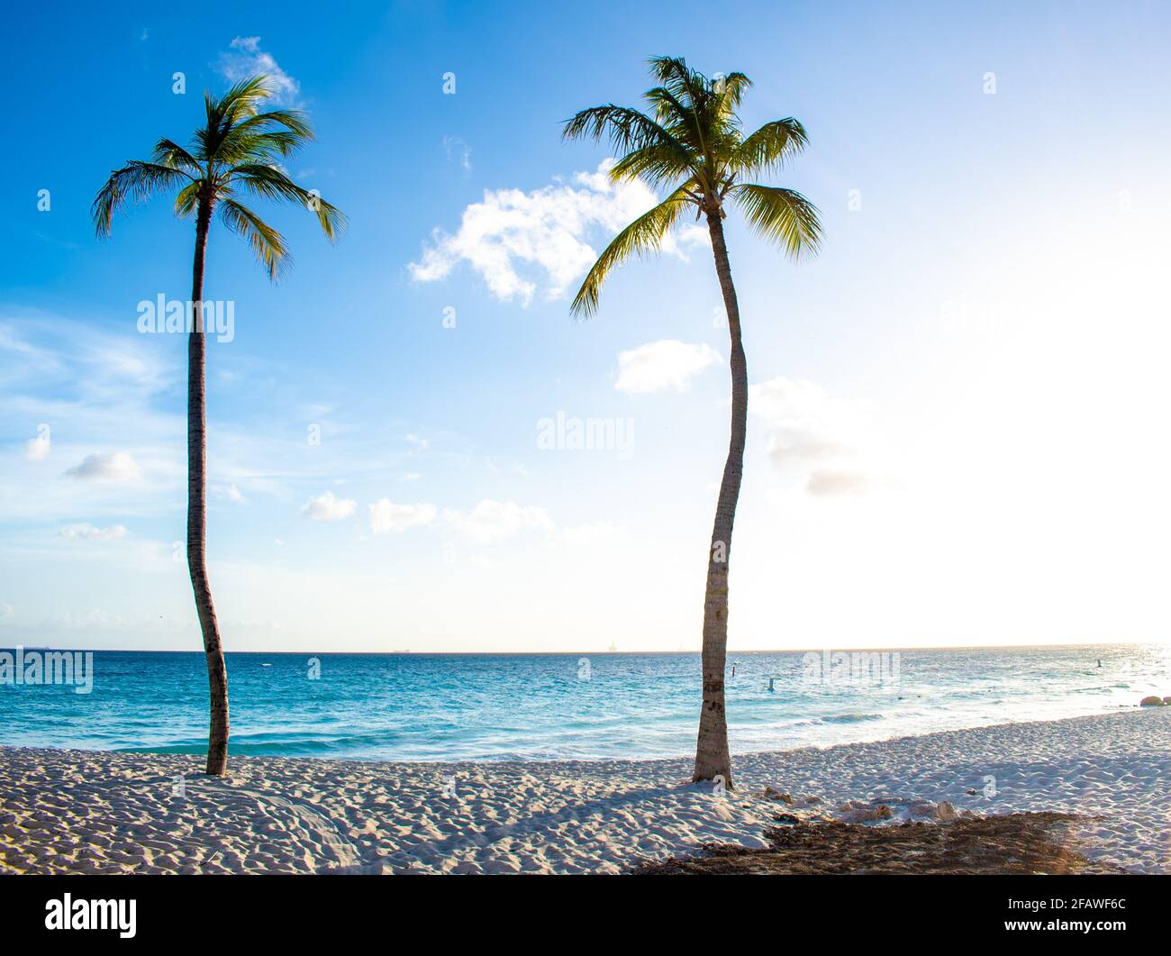 Dutch Caribean Island Aruba known for their white beaches and colourful ...