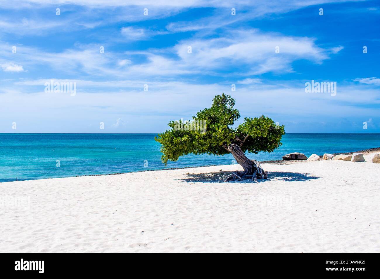Dutch Caribean Island Aruba known for their white beaches and colourful ...