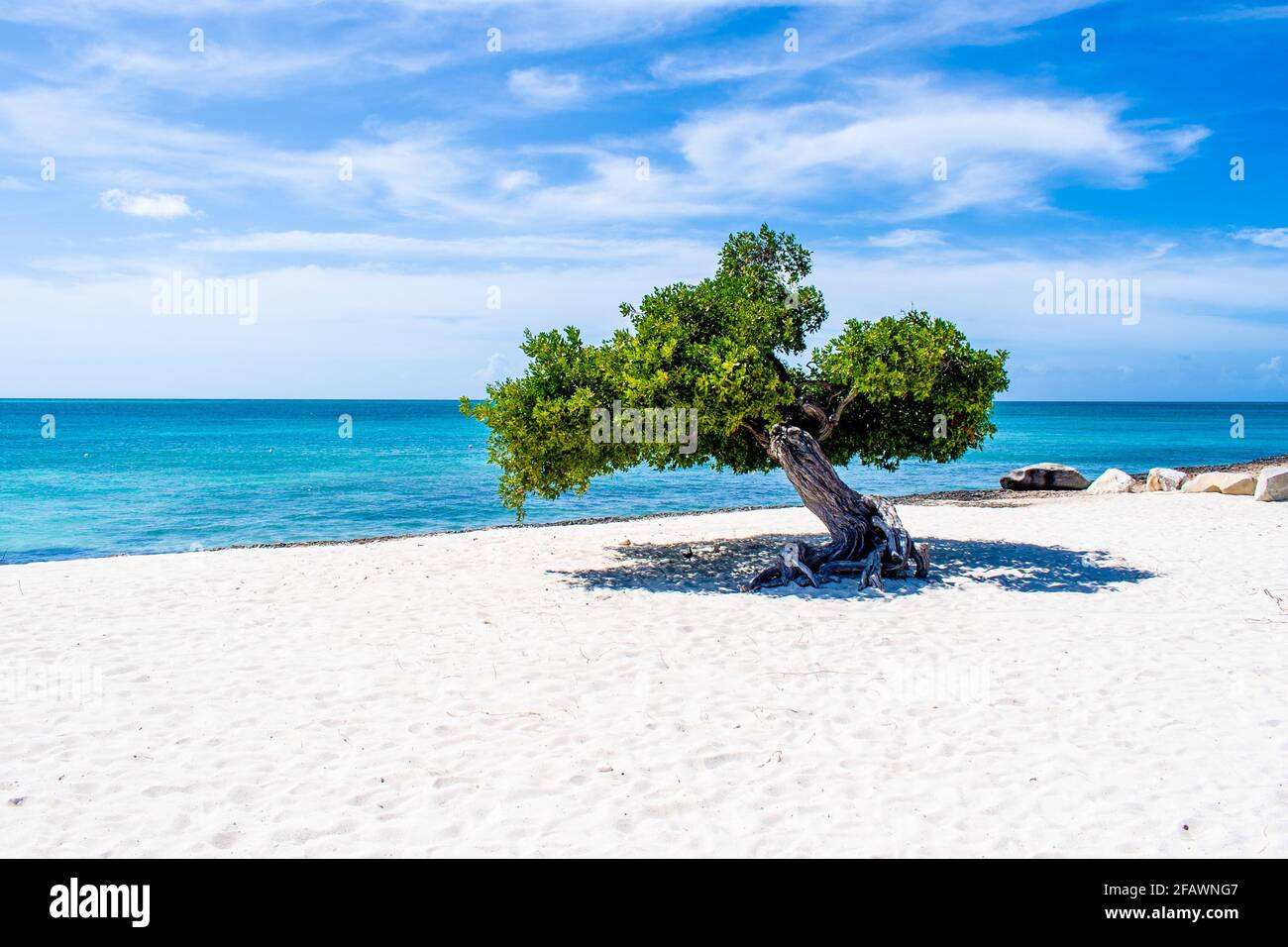 Dutch Caribean Island Aruba known for their white beaches and colourful ...