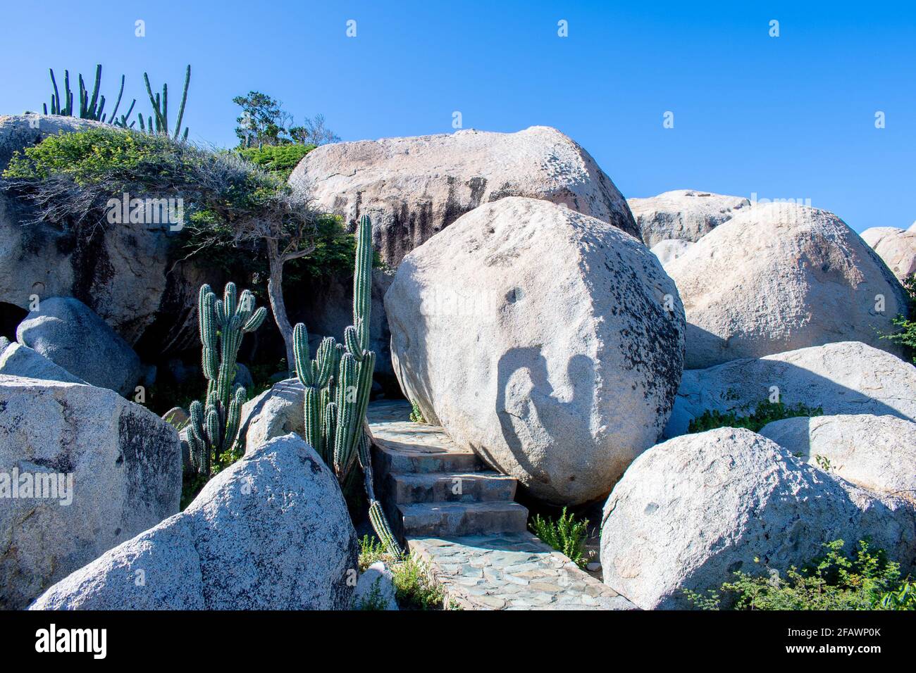 Dutch Caribean Island Aruba known for their white beaches and colourful ...