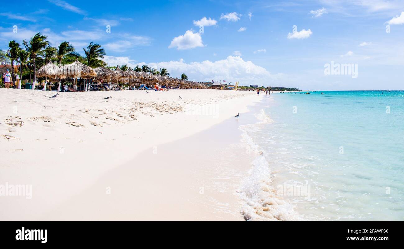 Dutch Caribean Island Aruba known for their white beaches and colourful ...