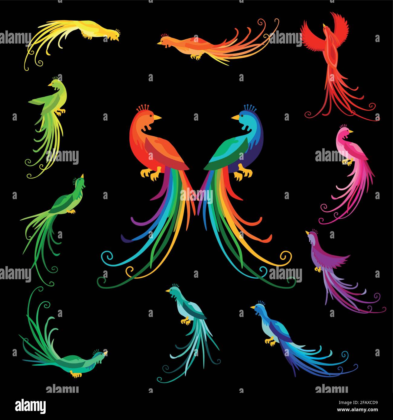 British birds illustration Stock Vector Images - Alamy