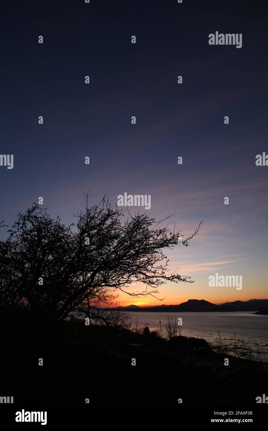Sunset over sea tree hi-res stock photography and images - Alamy