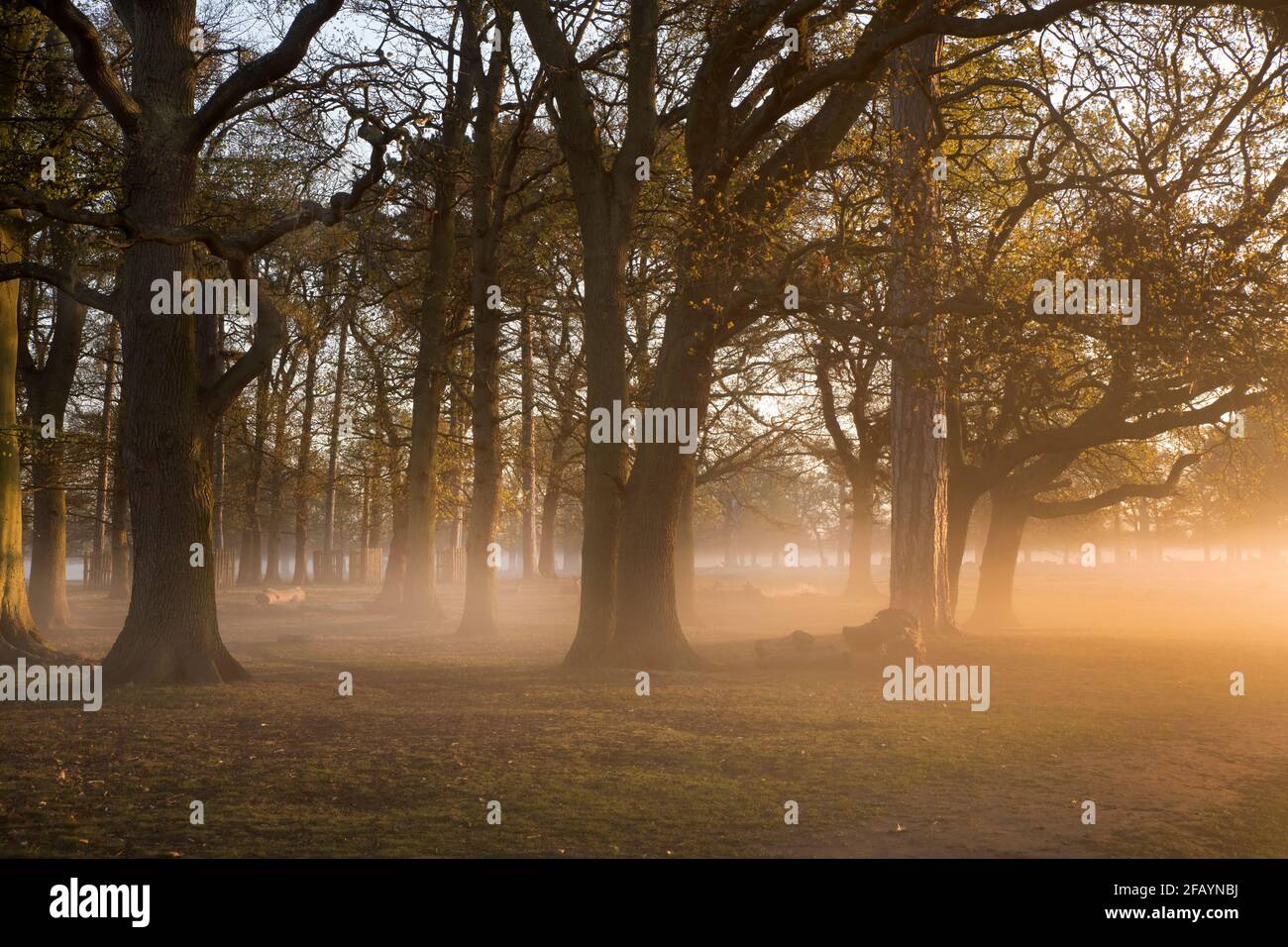 First sunlight lights up hi-res stock photography and images - Alamy