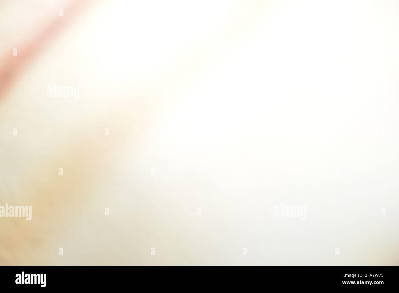 gradient brown color abstract pastel background, gradient beige color ...