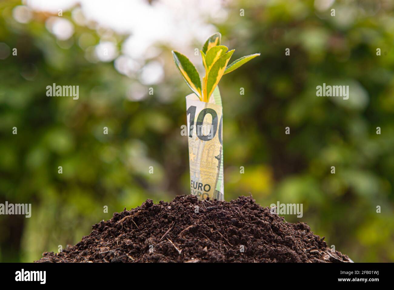 Economic Growth symbol : one hundred euro banknote with a plant or leaf ...