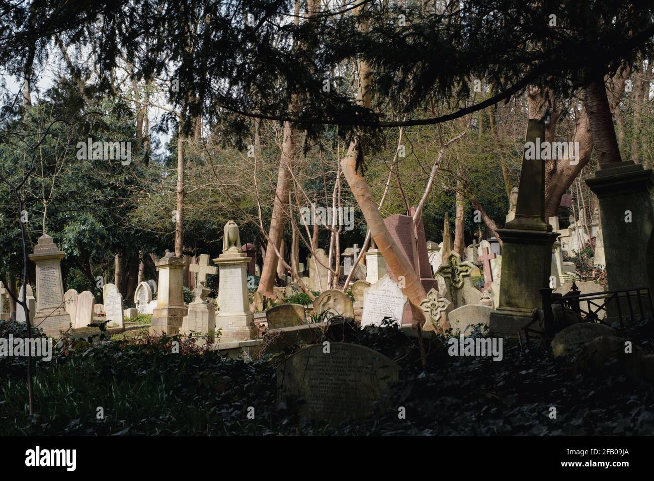 Highgate cemetery east hi-res stock photography and images - Alamy