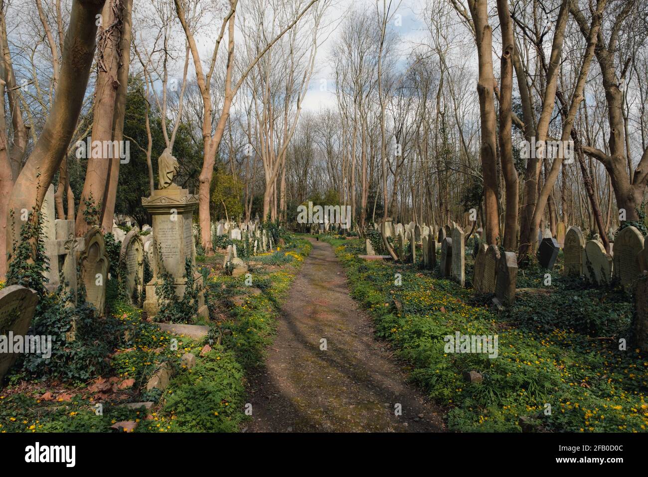 Highgate cemetery east hi-res stock photography and images - Alamy