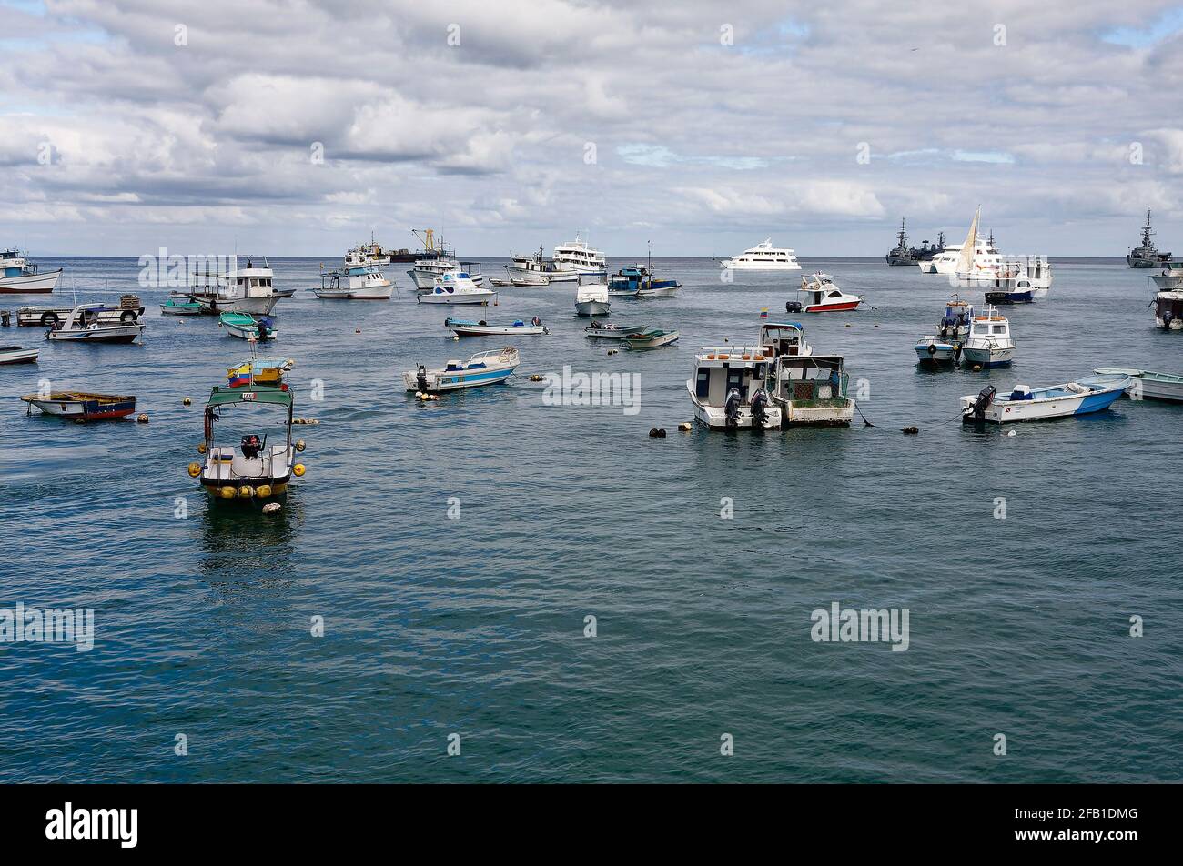 anchorage, many boats on buoys, maritime scene, motor yachts, tour ...