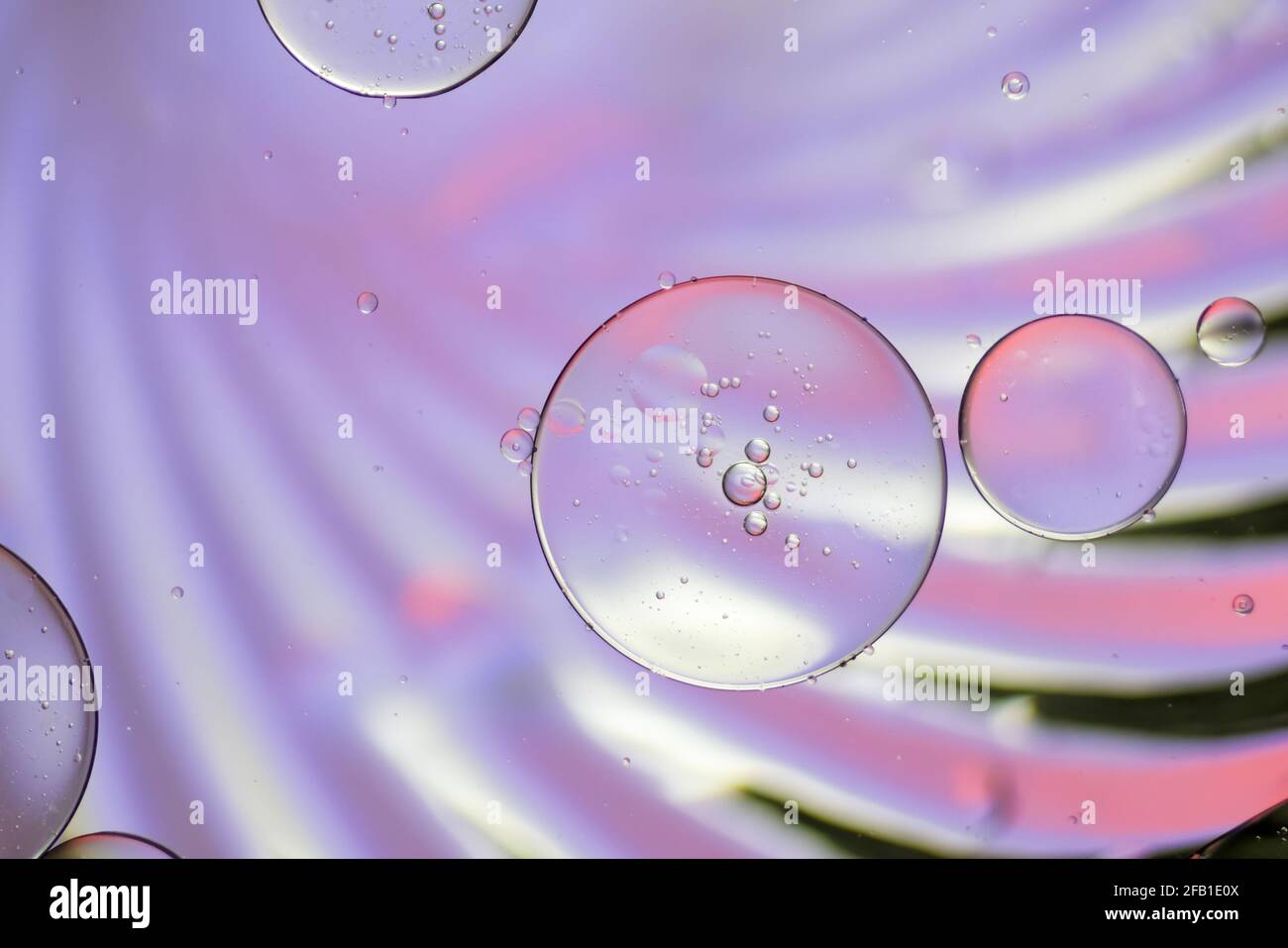 Colorful artistic of oil drop floating on the water Stock Photo - Alamy