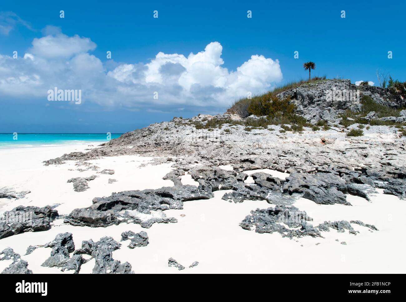 Cay hill hi-res stock photography and images - Alamy