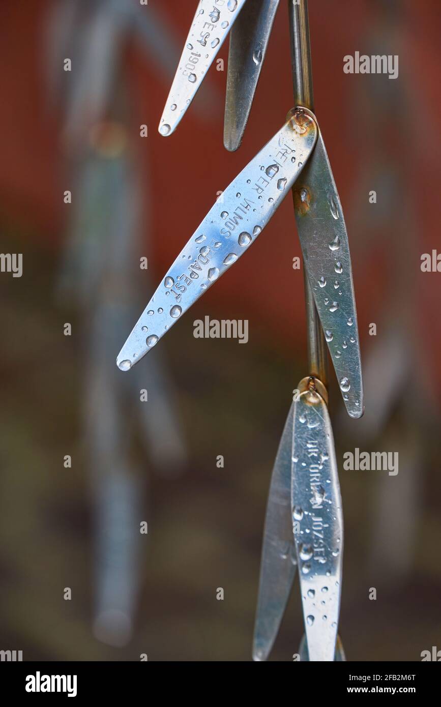 Memory tree hi-res stock photography and images - Alamy