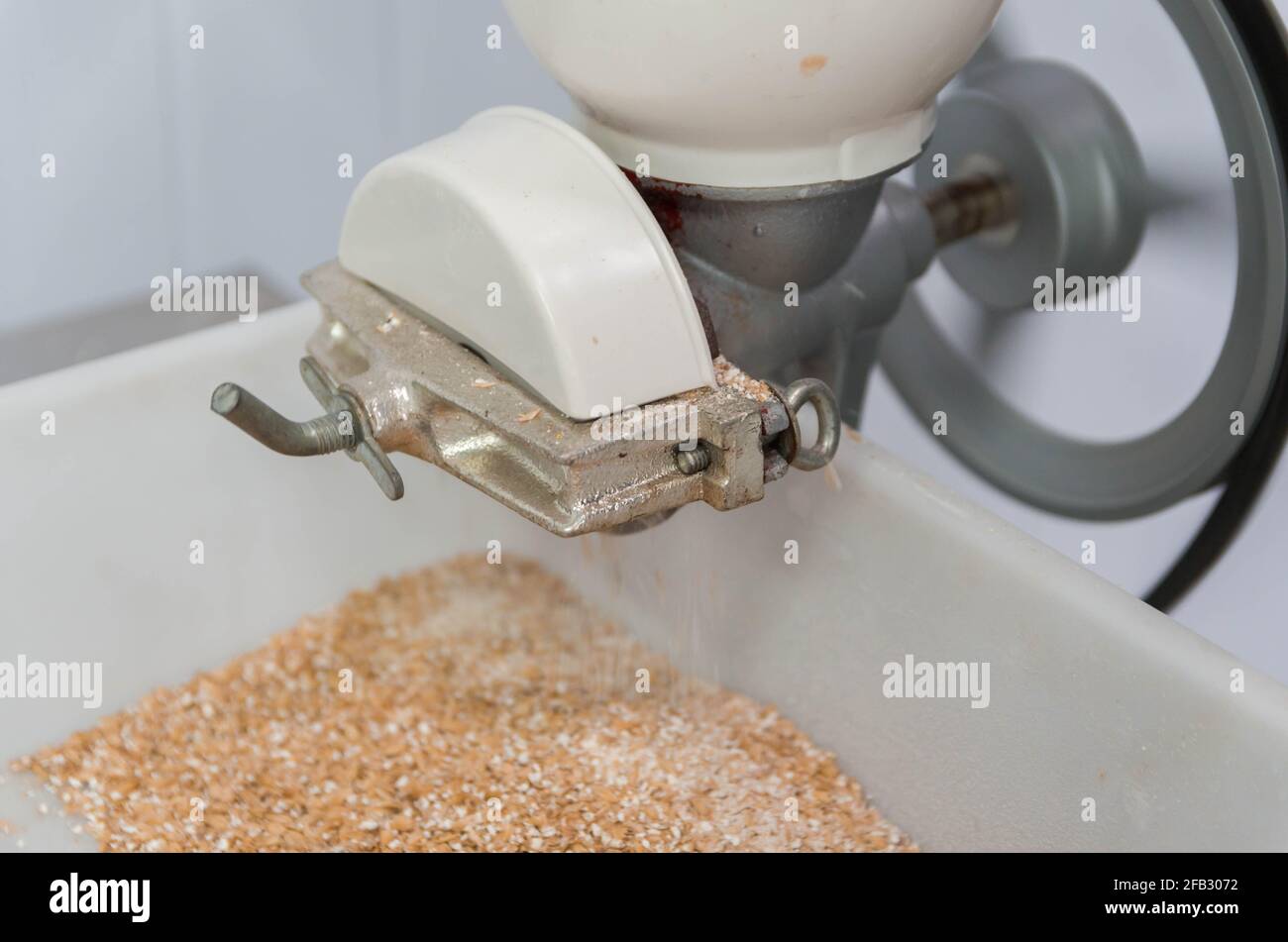 Homebrewing process hi-res stock photography and images - Alamy