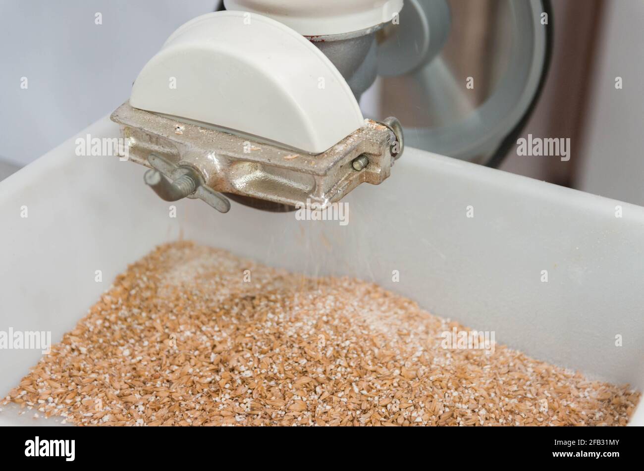 Homebrewing process hi-res stock photography and images - Alamy