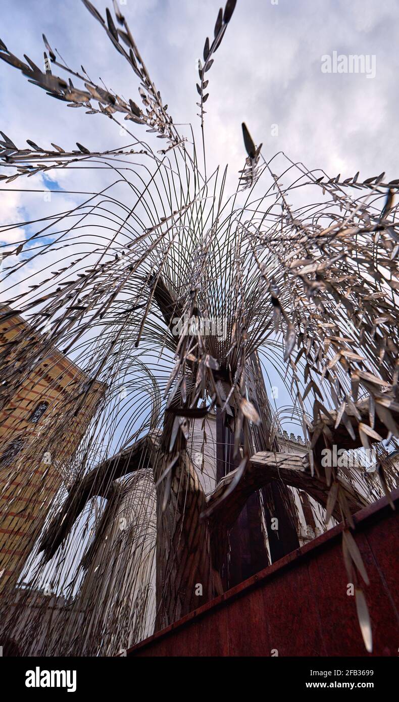 Memory tree hi-res stock photography and images - Alamy