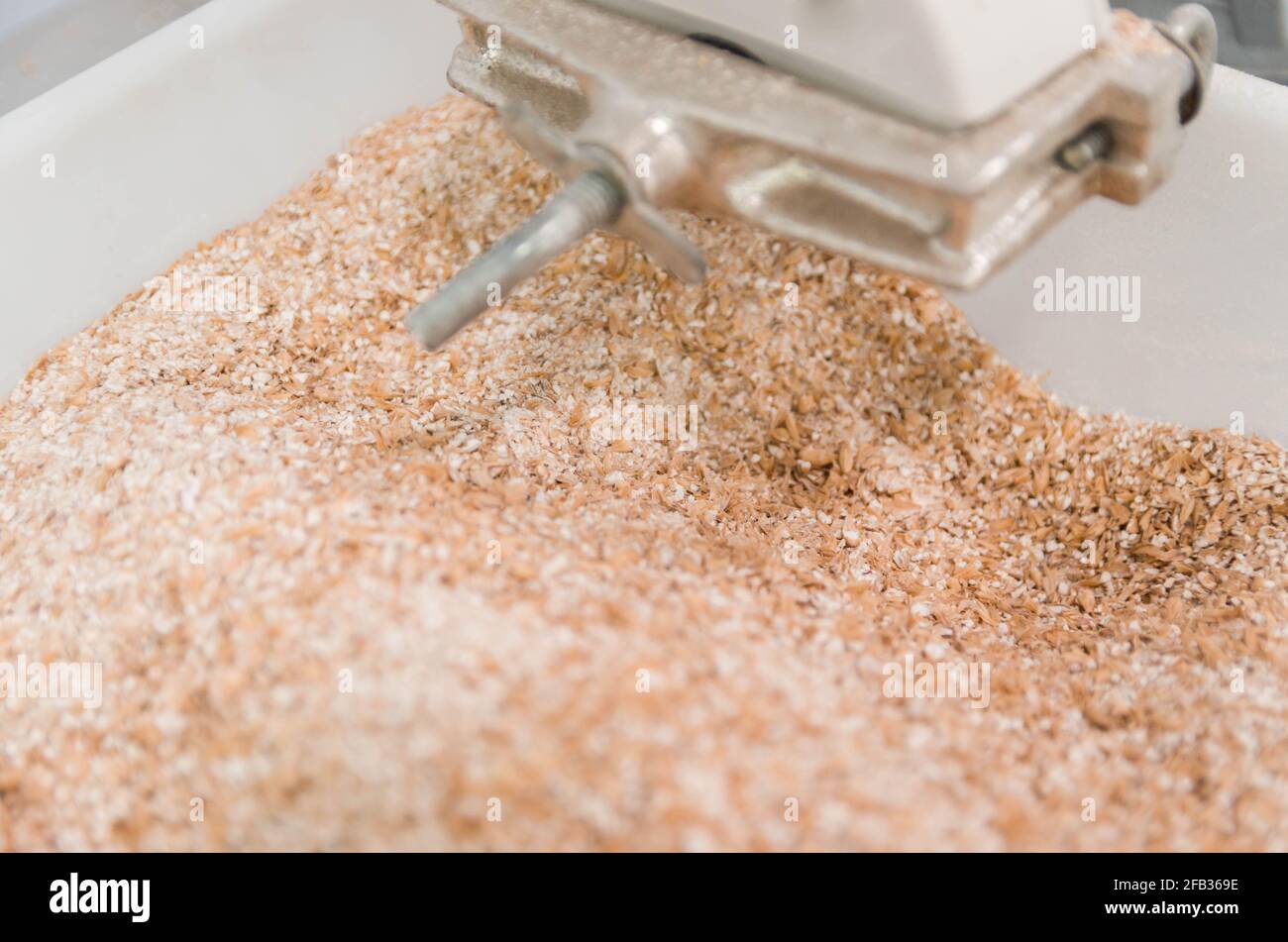 Traditional homebrewing malt grinder, grinding pilsen malt Stock Photo ...
