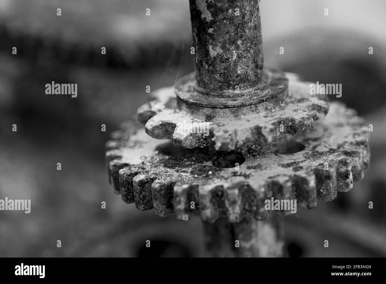 Antique cogwheel Black and White Stock Photos & Images - Alamy