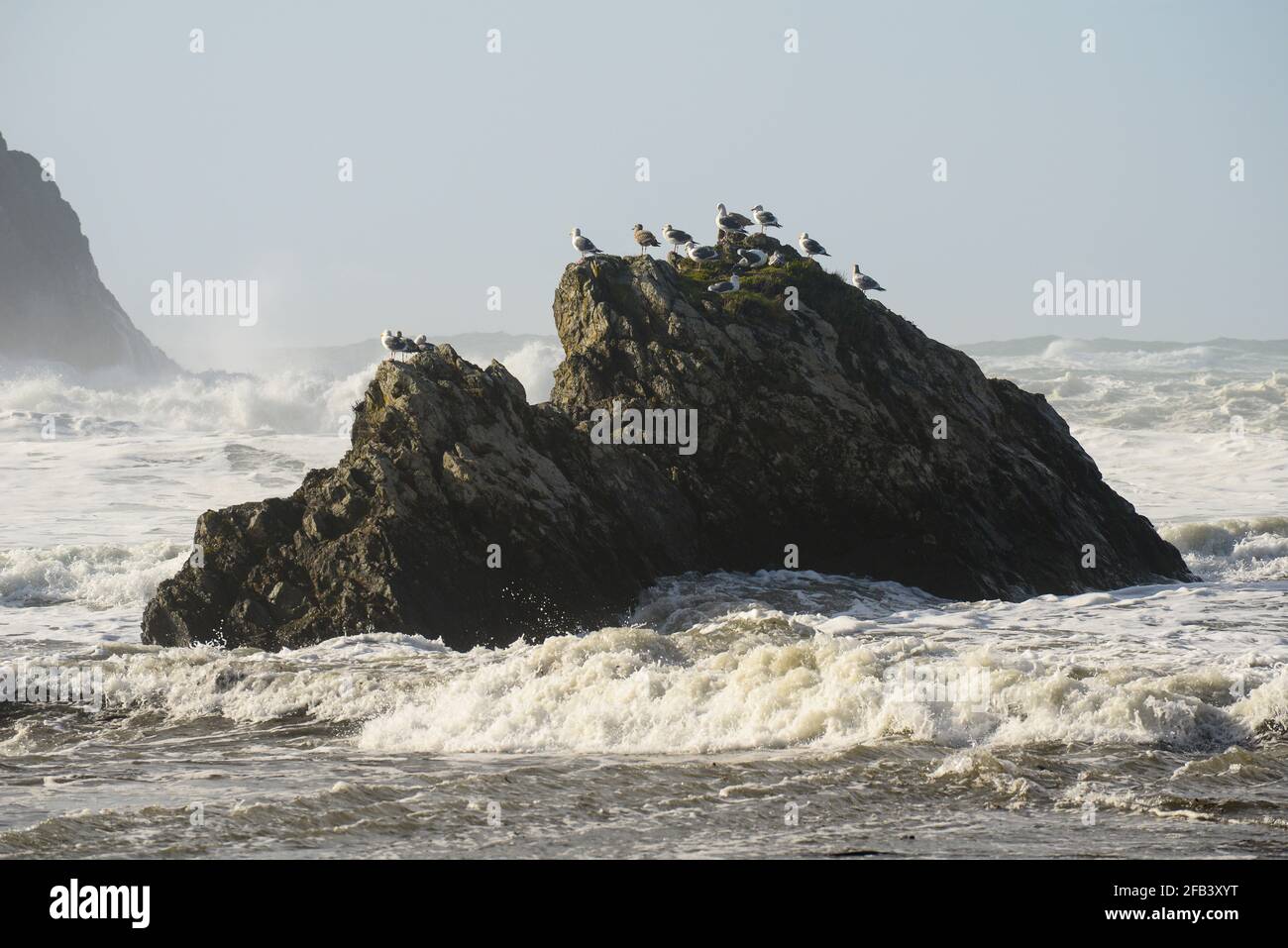 Gulls Sitting On Sea Stack With Waves Crashing Stock Photo - Alamy