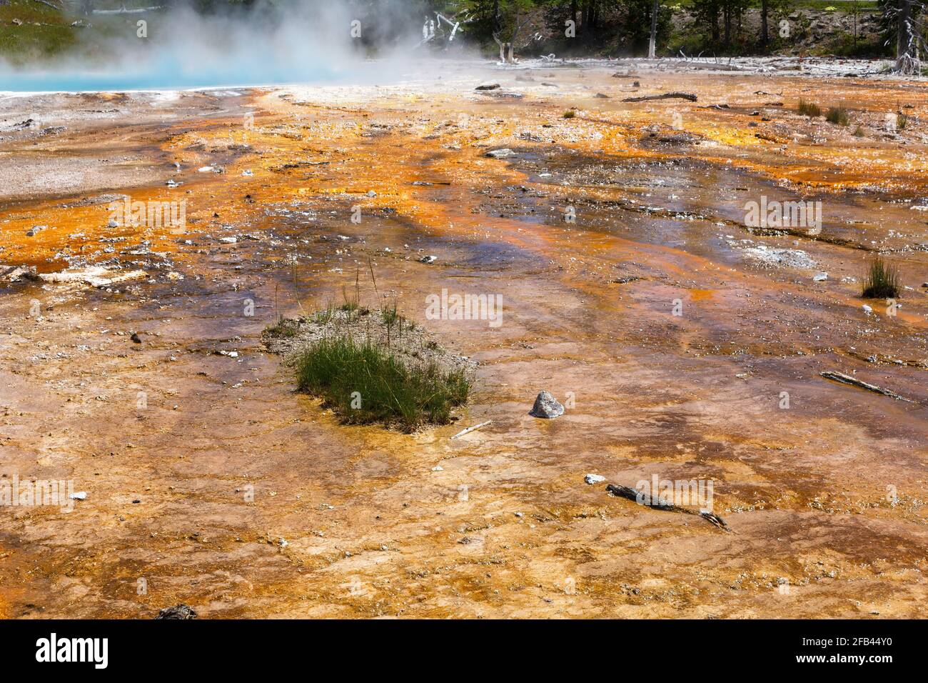 Yellowstone National Park, Montana, USA - July 15 2018: Old Faithful ...