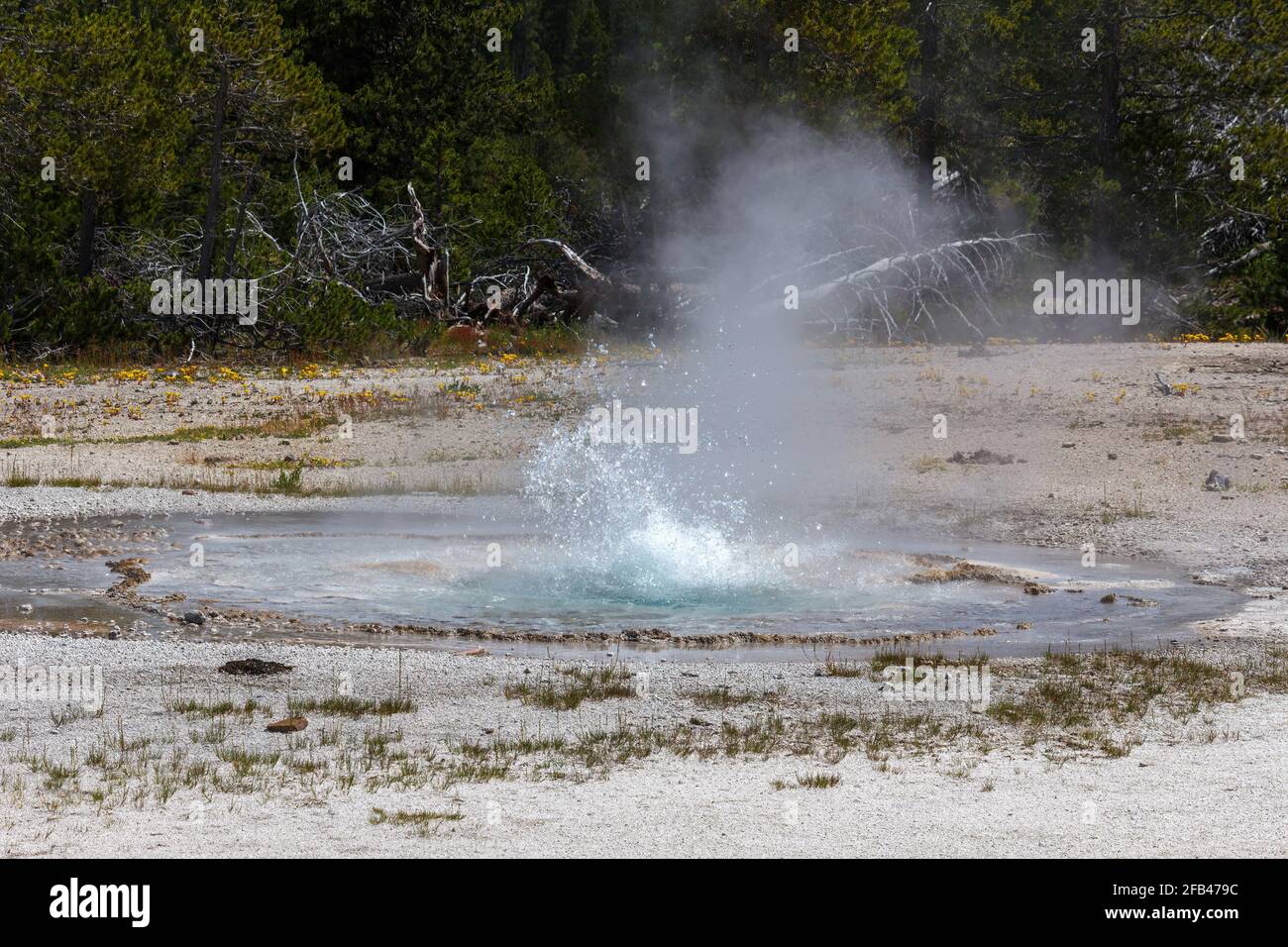 Yellowstone super volcano erupting hi-res stock photography and images ...