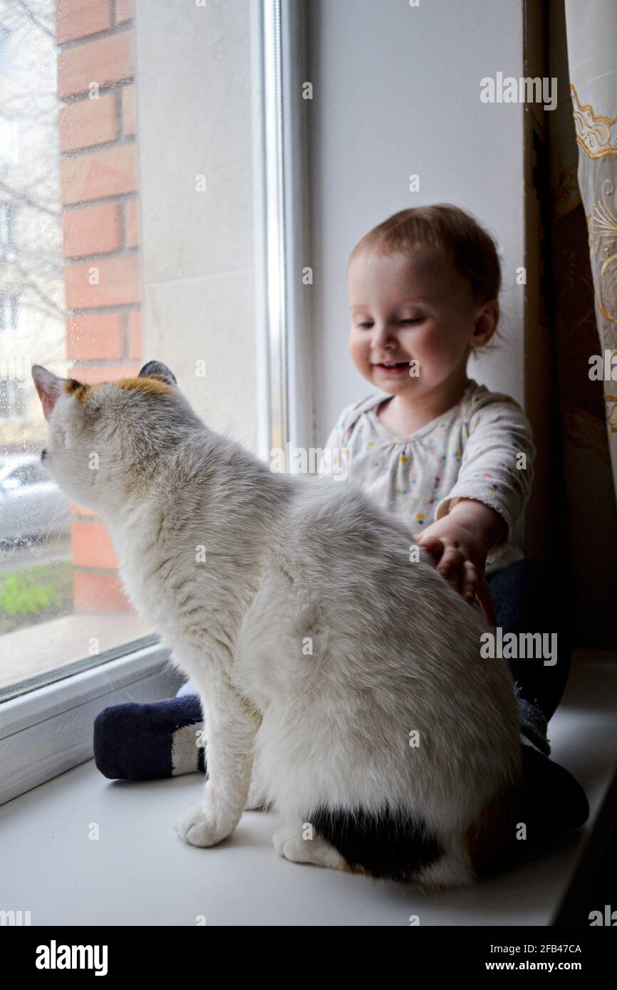 smiling little girl sitting on windowsill and touching cat Stock Photo ...