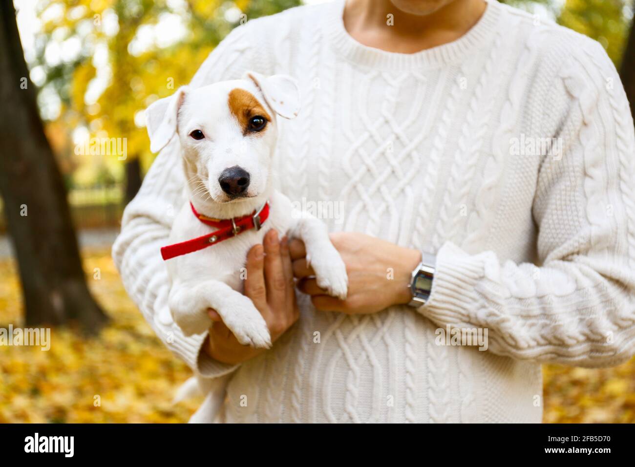 Man with dog collar hi-res stock photography and images - Alamy