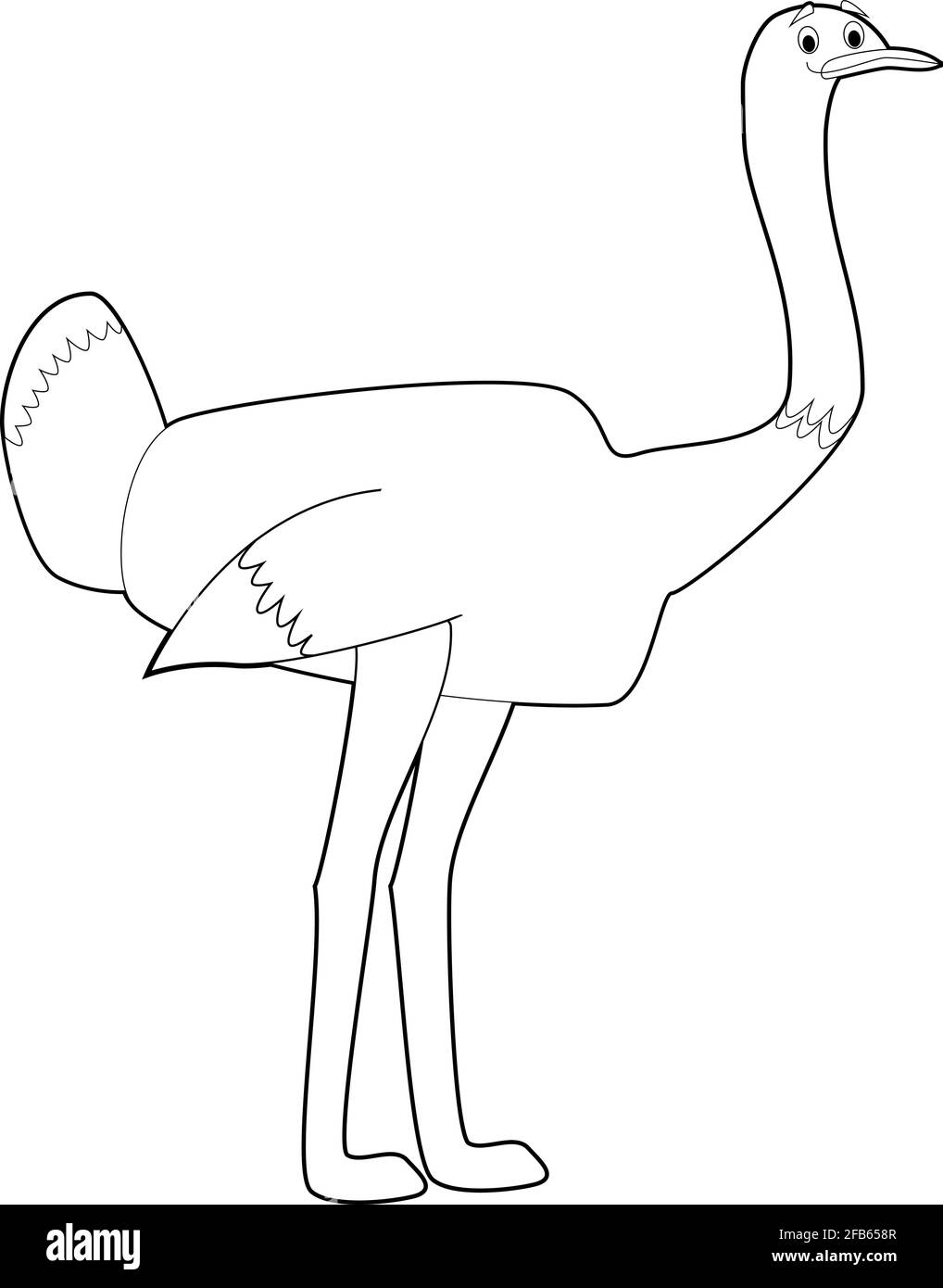 Ostrich Drawing For Kids