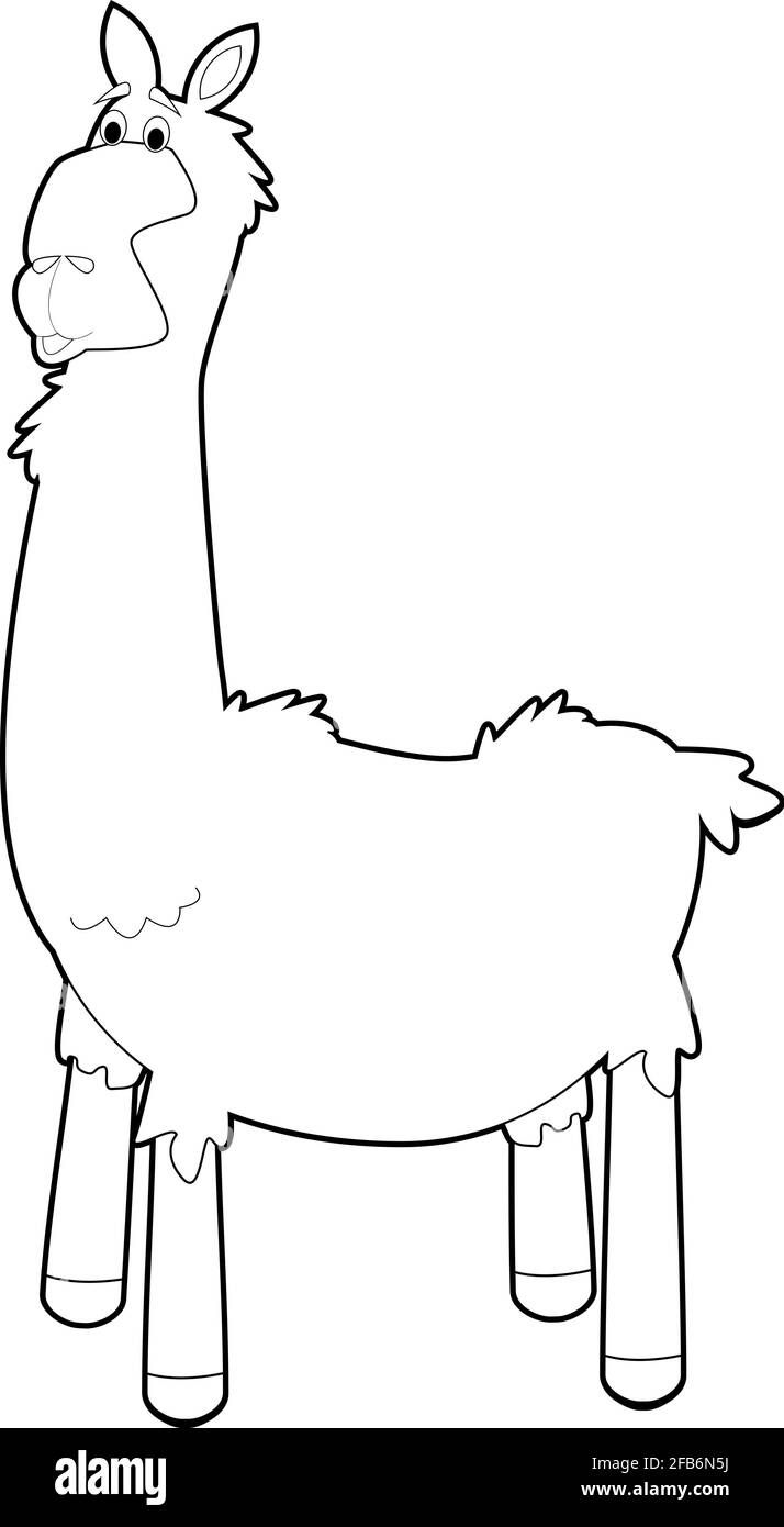 Llama Drawing For Kids