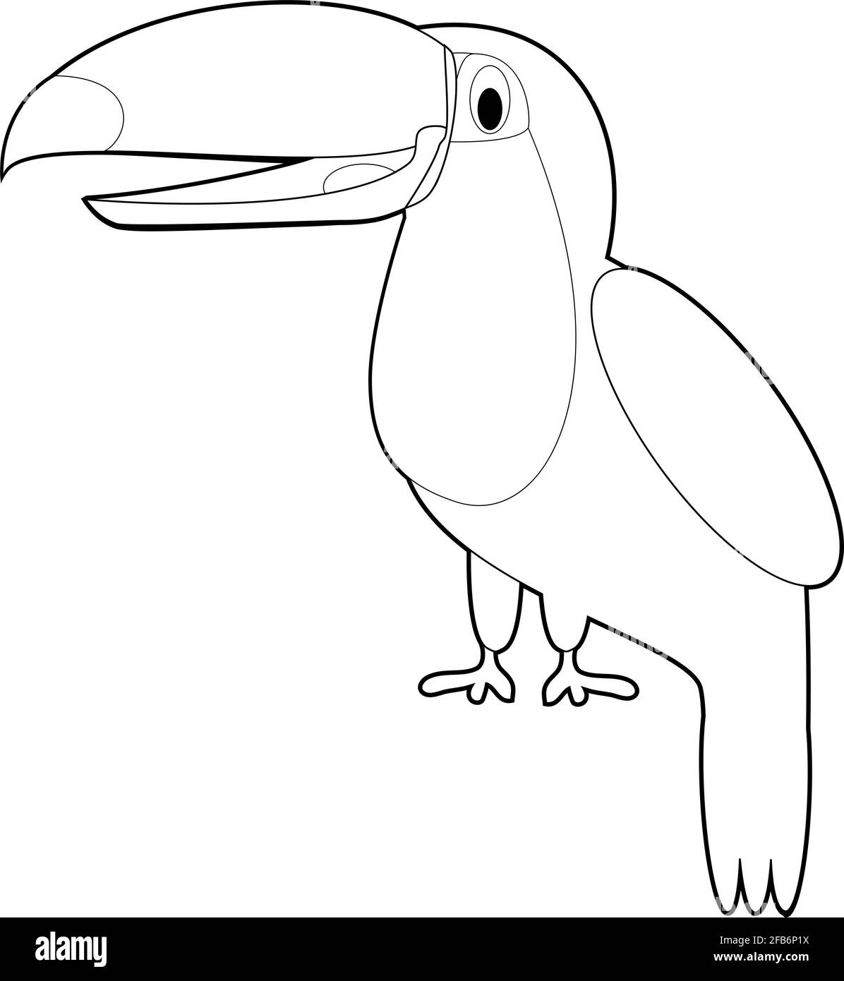 Toucan Drawing For Kids