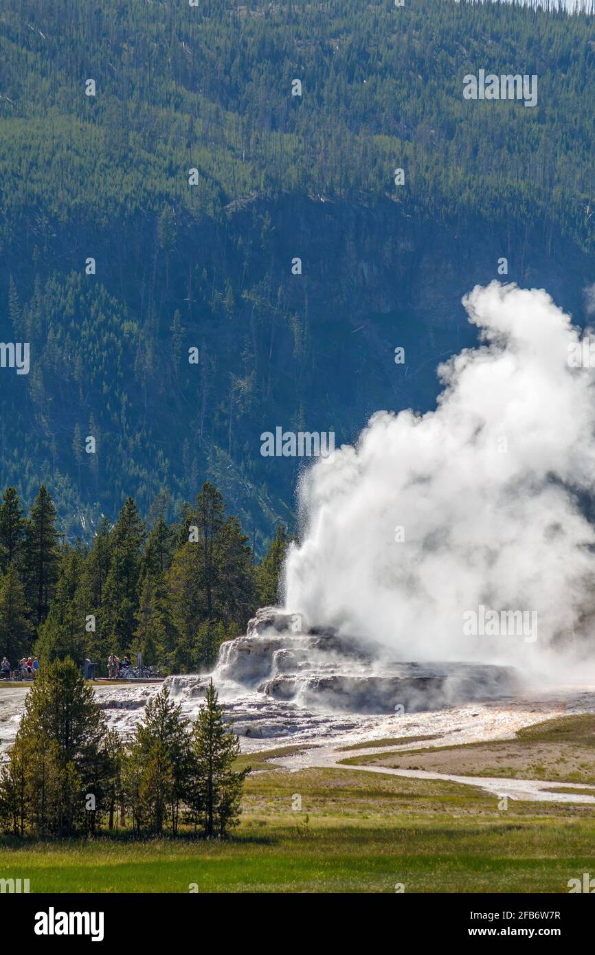 Yellowstone National Park, Montana, USA - July 15 2018: Old Faithful ...