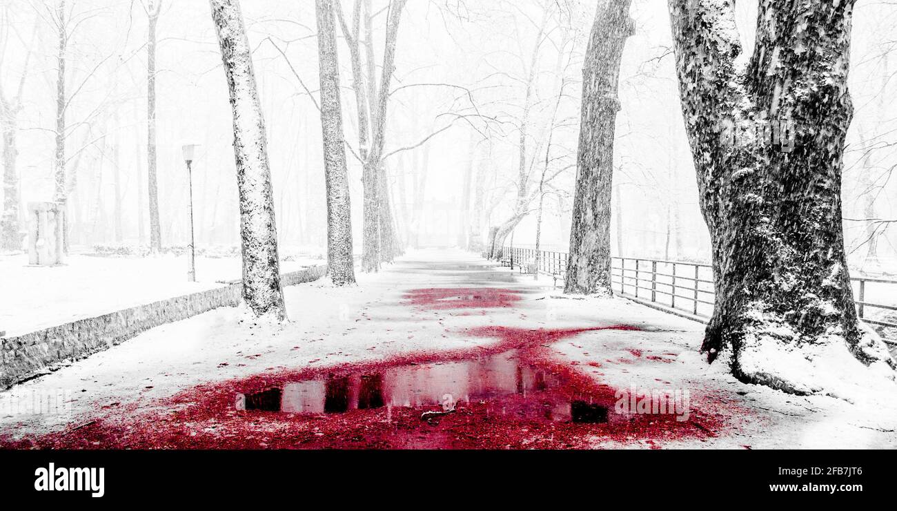 Empty snowy footpath in the park with bright red traces of blood in ...