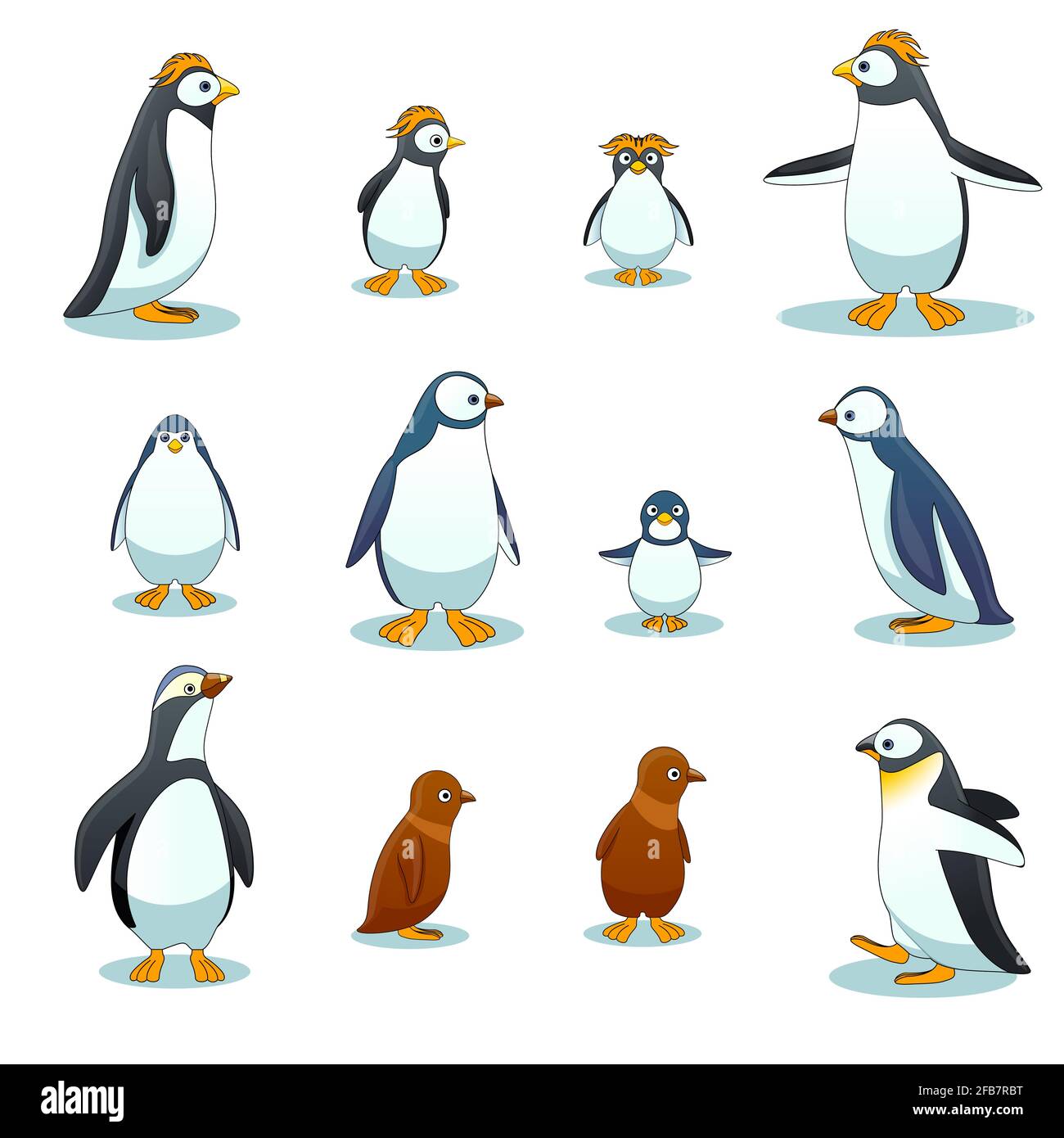 Penguins characters in various poses vector set. Penguin animal ...