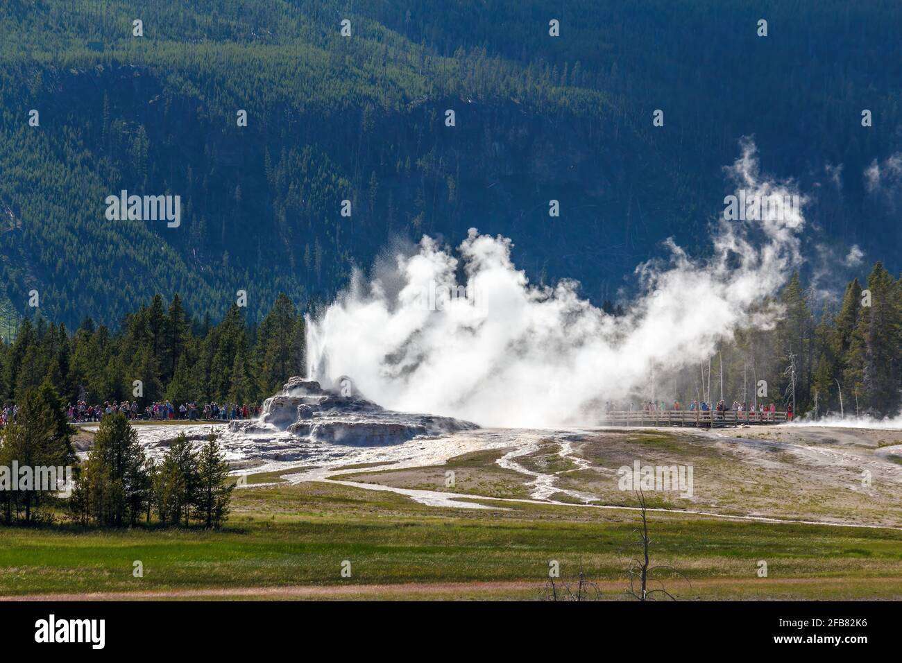Yellowstone National Park, Montana, USA - July 15 2018: Old Faithful ...