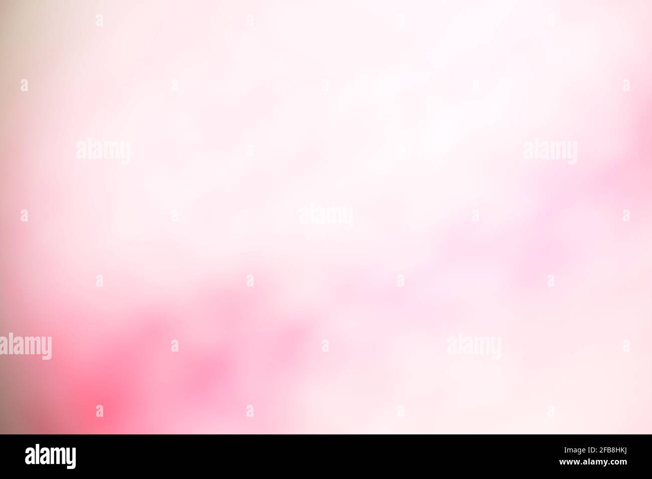 gradient pink background for wallpapers and graphic designs, blurred ...