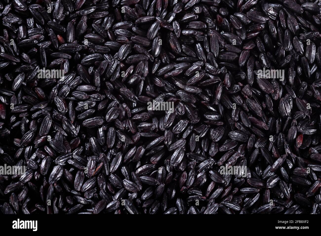 Organic Raw Black Rice - Oryza sativa Stock Photo - Alamy