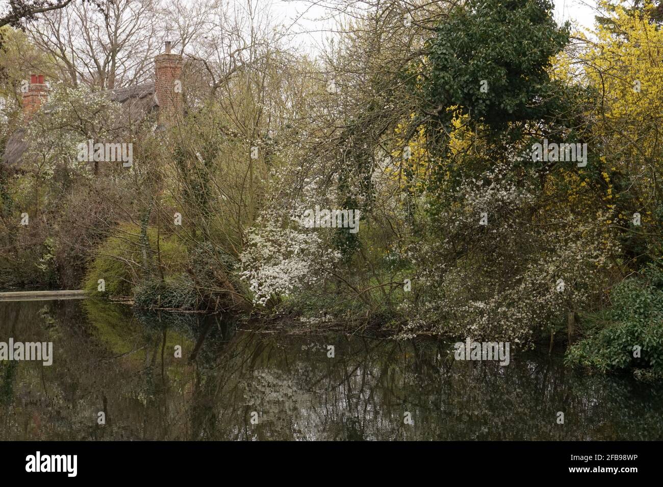 A walk along the River Cam near Hinxton, Cambridgeshire Stock Photo - Alamy