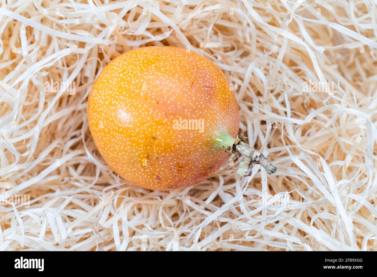 Granadilla. Whole yellow passion fruit on hay background. exotic fruits ...