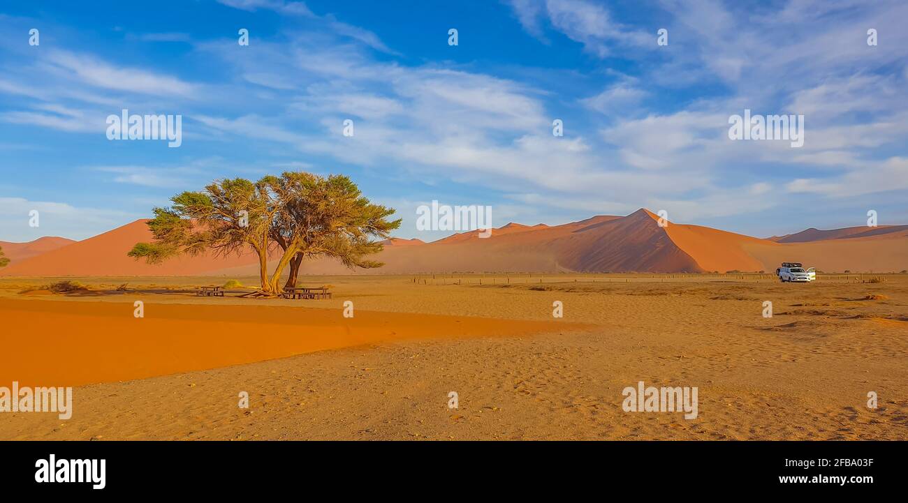 Dunes 45 of Namib Desert at Sossusvlei in the morning time, background ...