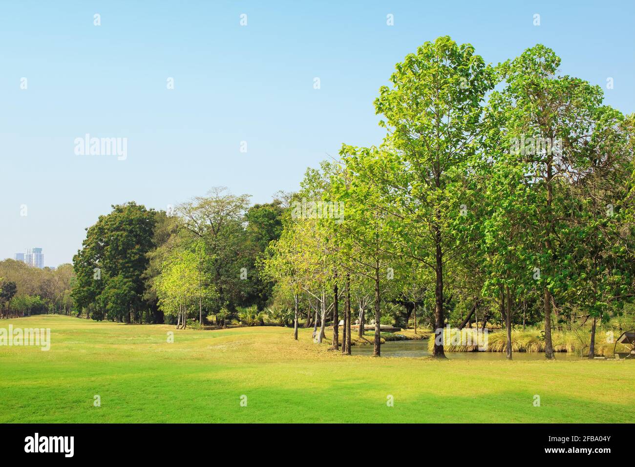 The park has lawns and is full of trees Stock Photo - Alamy
