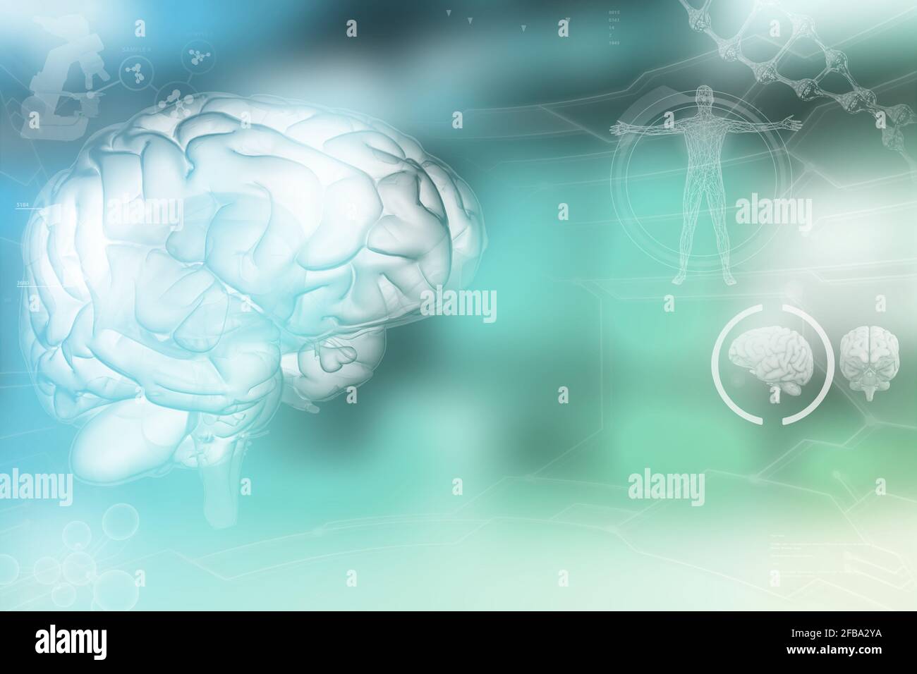 Human brain, physiology analysis concept - very detailed modern ...
