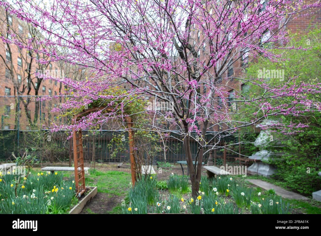 Arched tree branch hi-res stock photography and images - Alamy