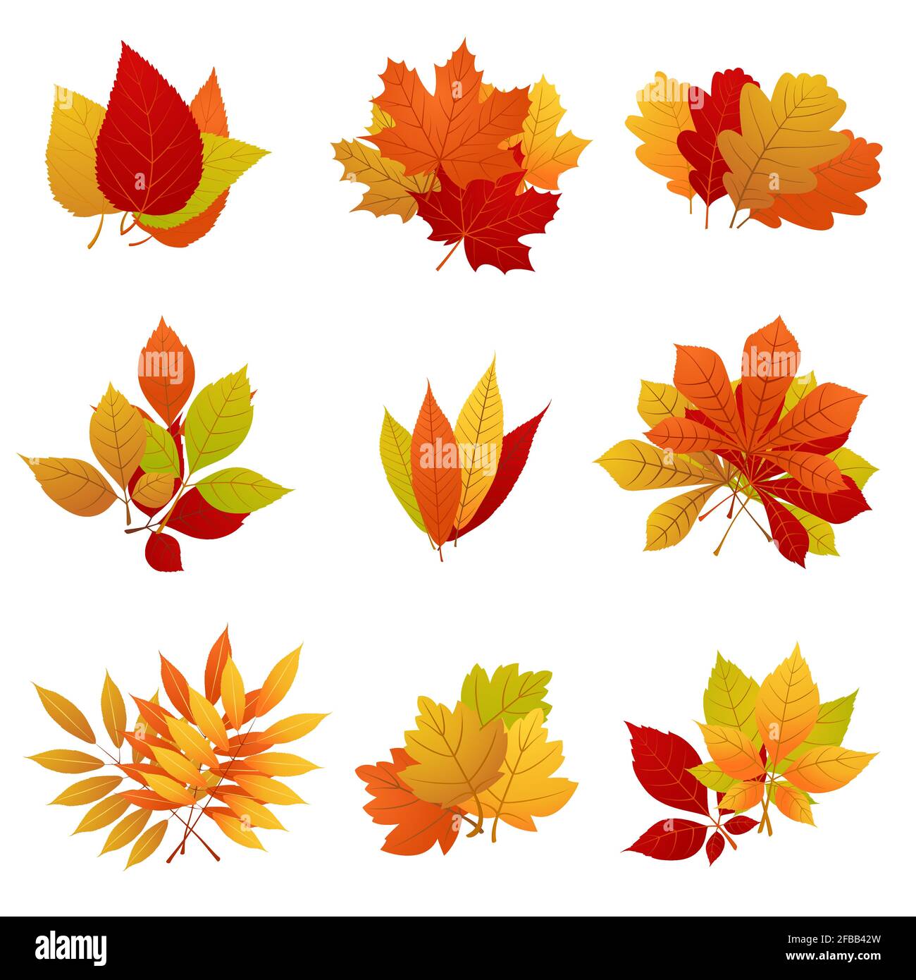 Autumn leaves yellow foliage vector set. Season of orange leaves ...