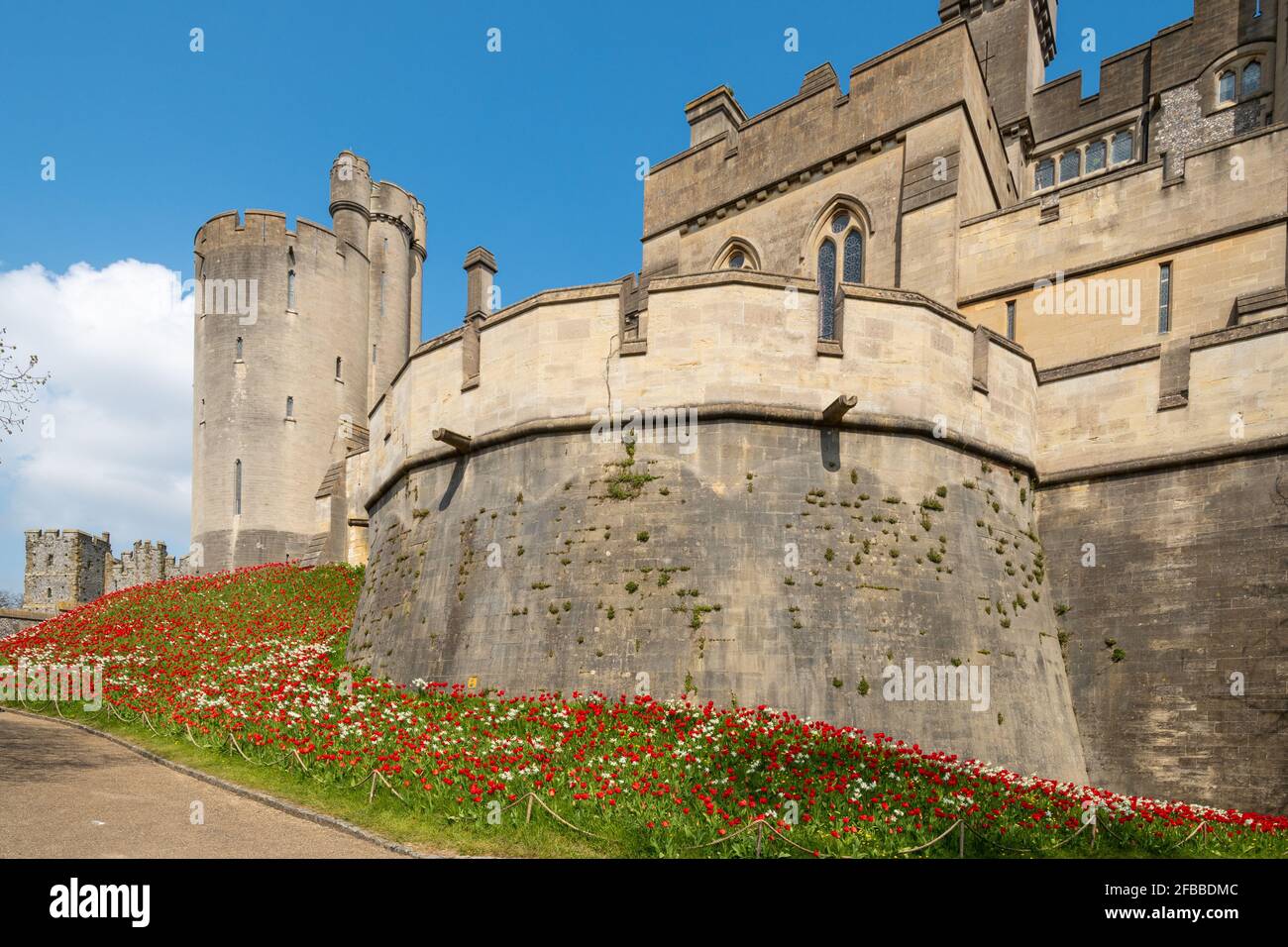 Arundel Castle tulip festival during April 2021, West Sussex, England ...