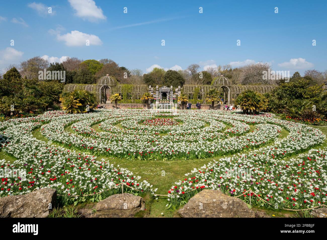 Tulip at arundel castle gardens hi-res stock photography and images - Alamy