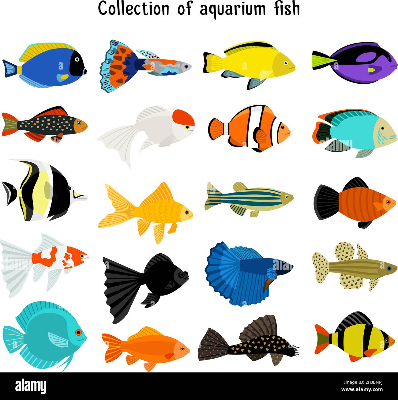 Aquarium fish set. Vector underwater diving fishes isolated on white ...