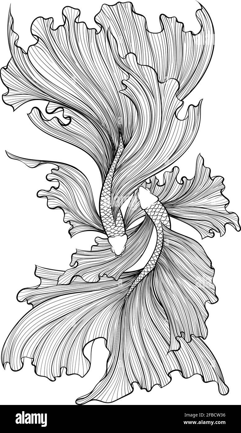 Two fish swimming Black and White Stock Photos & Images - Alamy