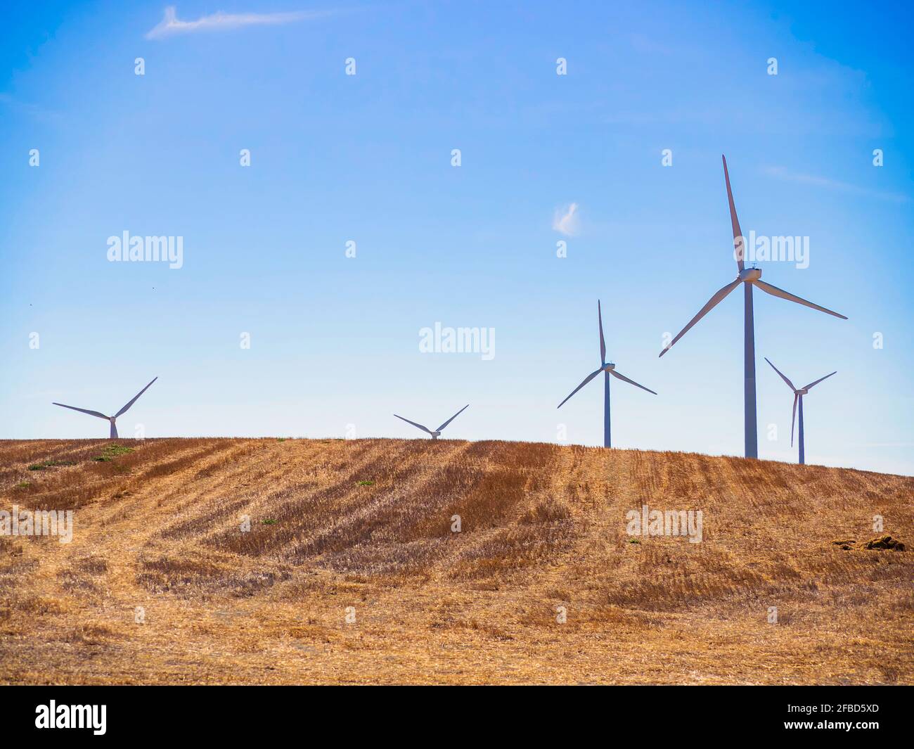 Wind energy field hi-res stock photography and images - Alamy